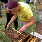 Regina and District Bee Club – RDBC – Regina and District Bee Club ...